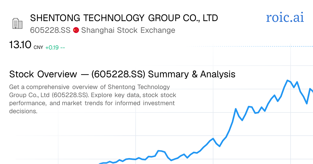 Shentong Technology Group Co., Ltd Stock — 605228.SS Overview — Roic AI