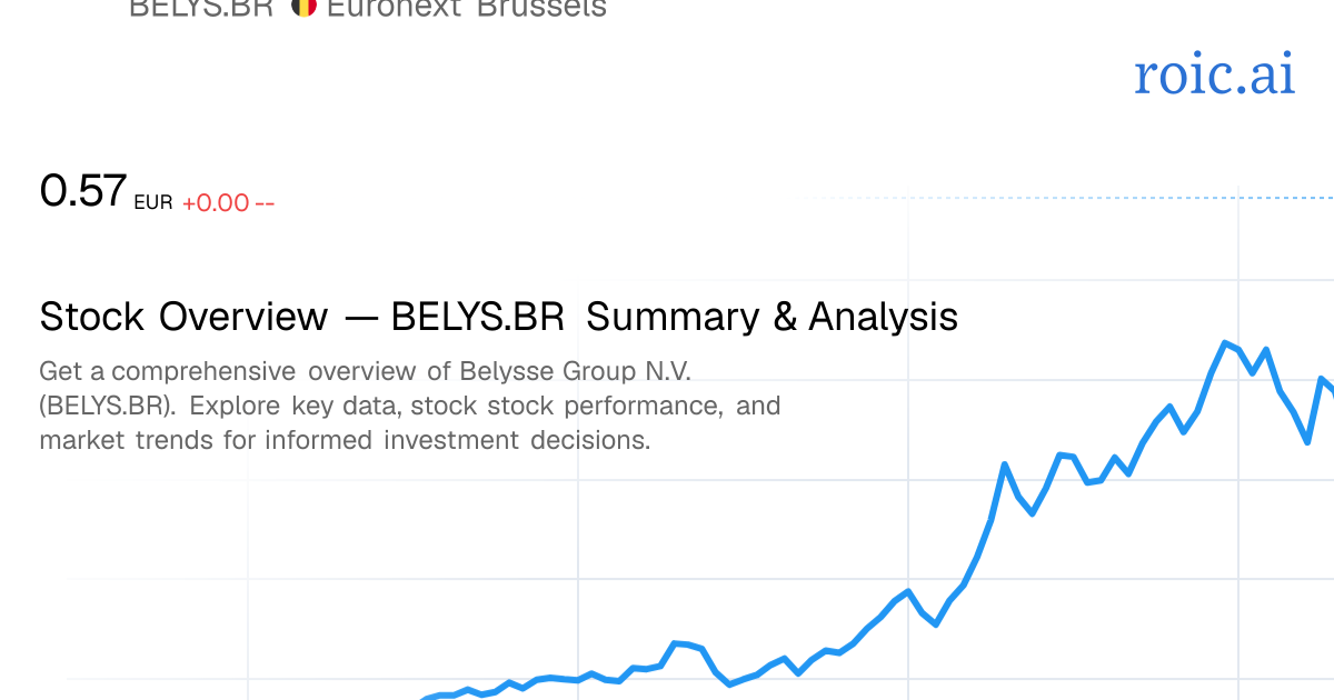 Belysse Group NV Stock Report — BELYS.BR Analysis — Roic AI