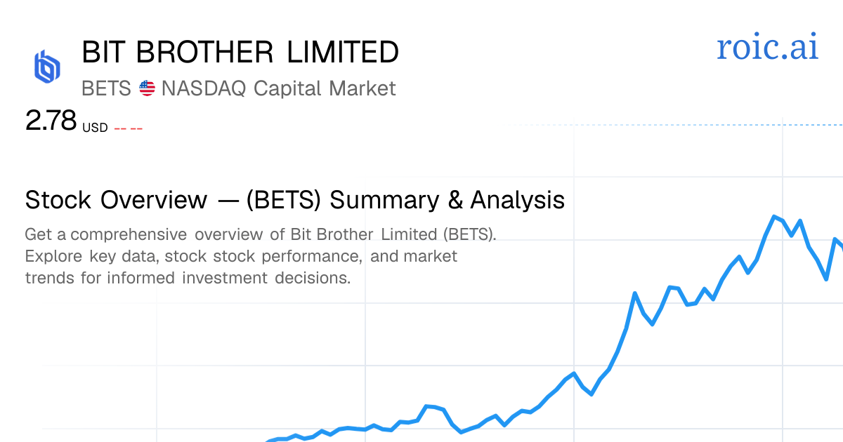 Bit Brother Limited Stock Overview — BETS Summary & Analysis — Roic AI
