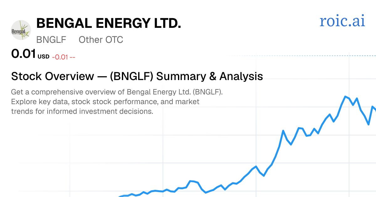 Bengal Energy Ltd. Stock Overview — BNGLF Summary & Analysis — Roic AI
