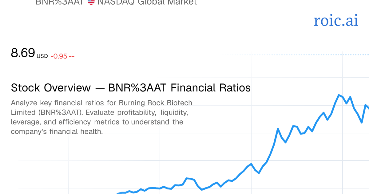 Burning Rock Biotech Limited Financial Ratios — BNR AT Stock — Roic AI