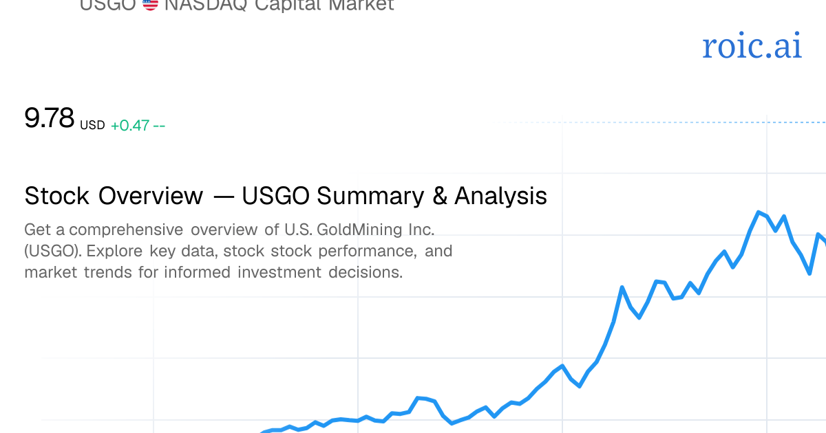 U.S. GoldMining Inc. Stock Report — USGO Analysis — Roic AI